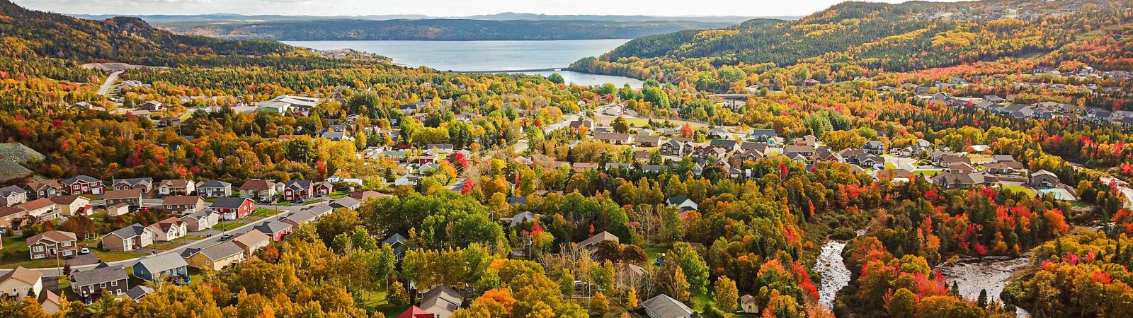 The Town of Clarenville. REAL. LIFE. POTENTIAL